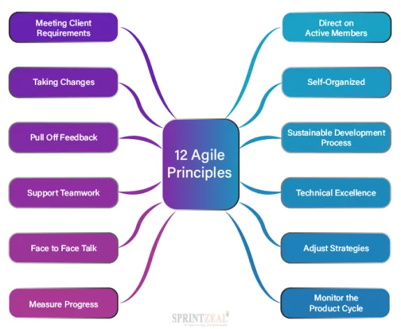 12 Agile Principles Explained – 12 Principles Agile Manifesto – PSPH